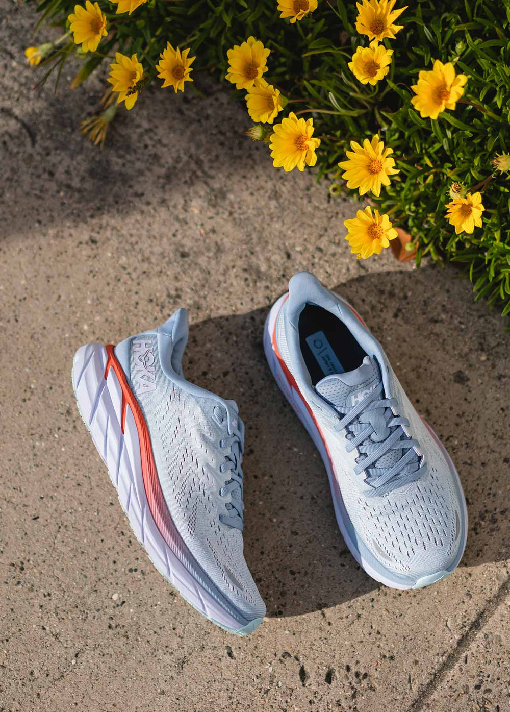 On Running shoes vs. Hoka One One